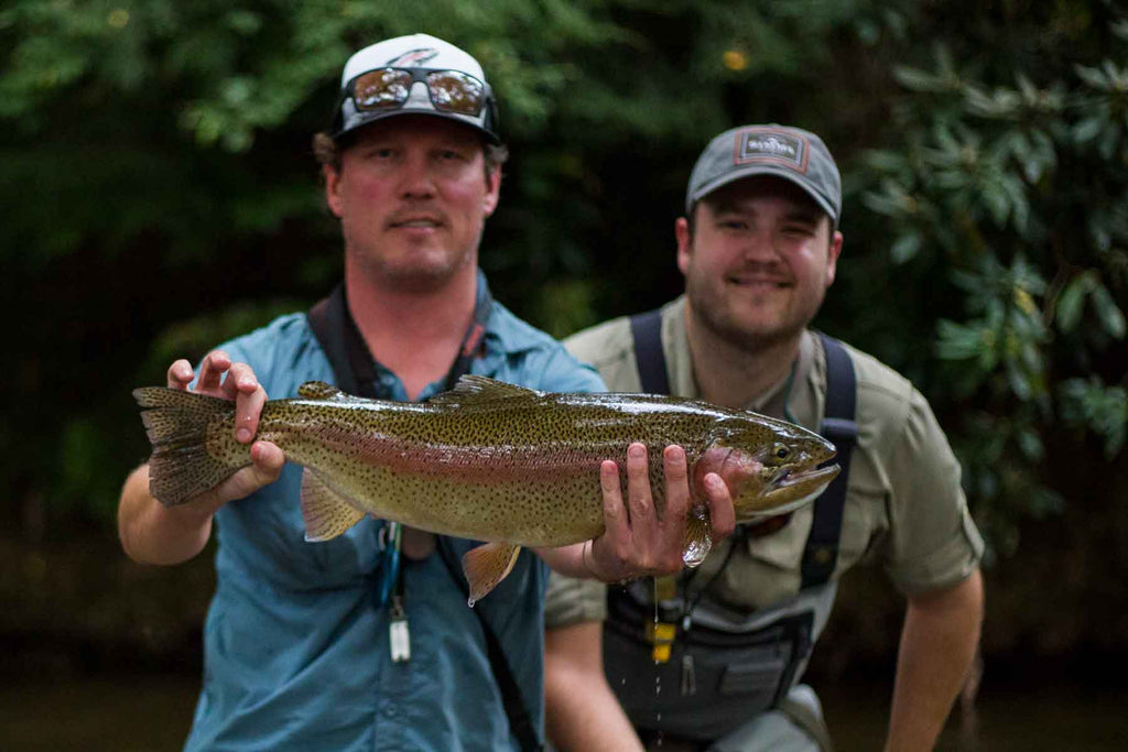 The Hopper-Dropper: Go-to Rig for the North Georgia Mountains – Fly ...